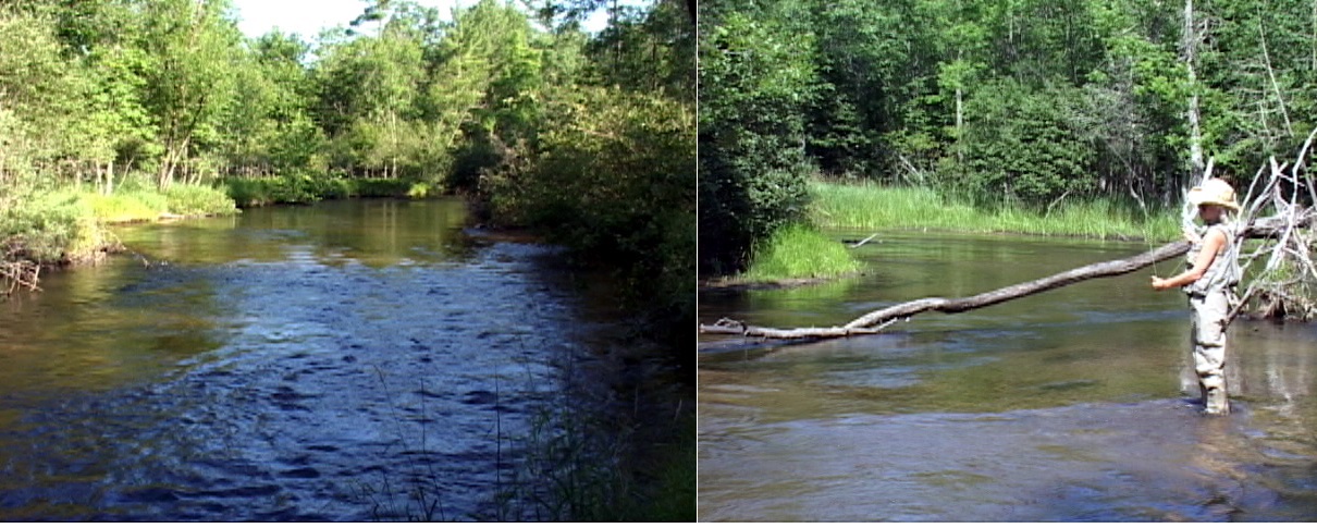 Fly Fishing On The Marias River, Montana - The Perfect Fly Store